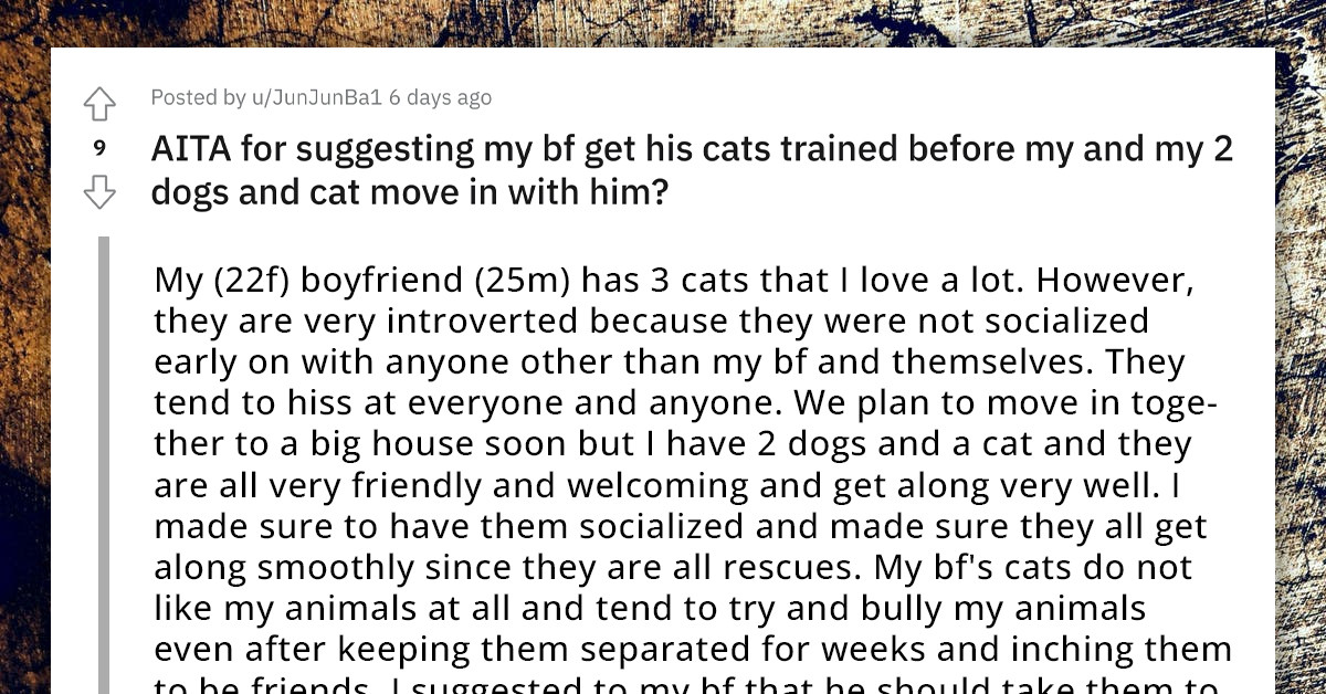 Man Gets All Worked Up After Being Told By His Gf To Train His ...
