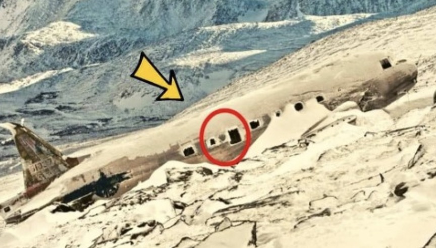 Researchers are astounded when they see what’s inside a long-lost plane ... Researchers are astounded when they see what’s inside a long-lost plane ...