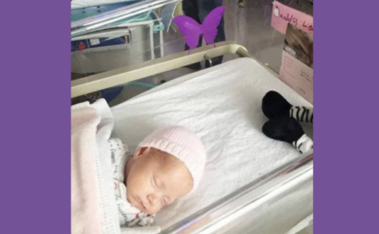 If you see a purple butterfly sticker near a newborn, you need to know ...