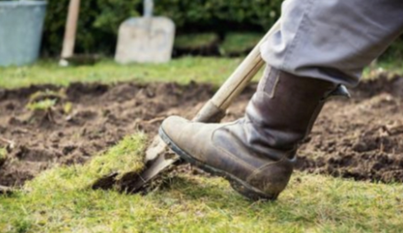 Man Digging In His Backyard Makes The Last Discovery He Ever Expected ...