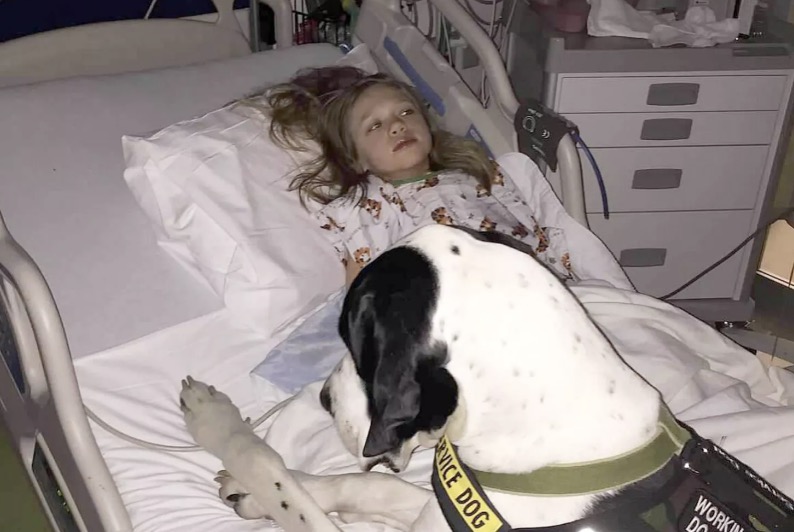 AK The image of the devoted dog, always by the side of its little owner ...