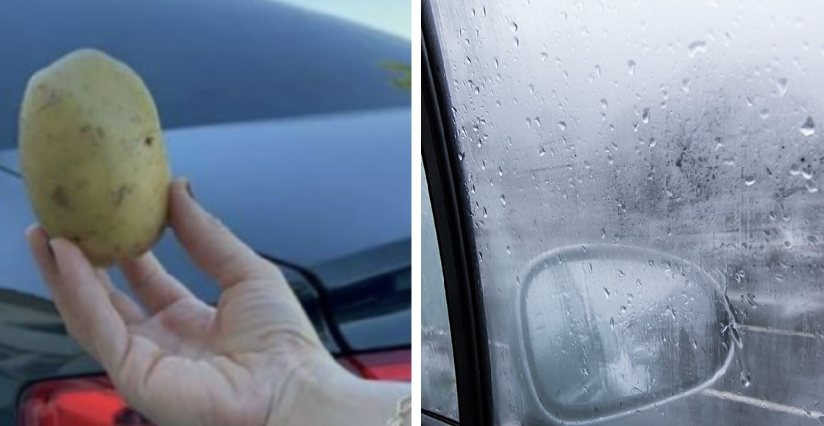 Here’s why it can be a good idea to carry a potato in your car | LOLitopia