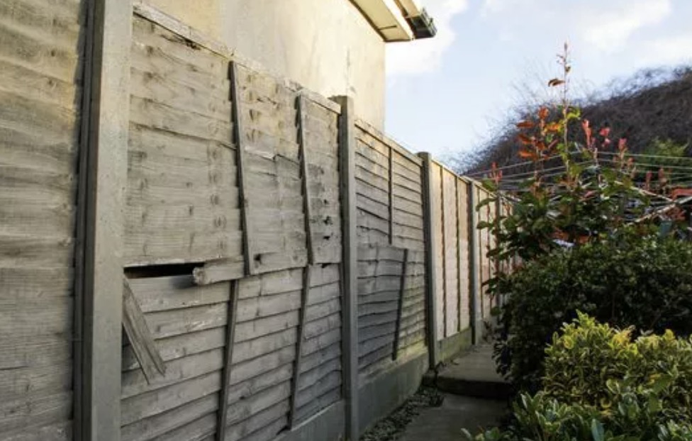 My Overbearing Neighbor Demanded I Remove My Old Fence – The Way Karma ...