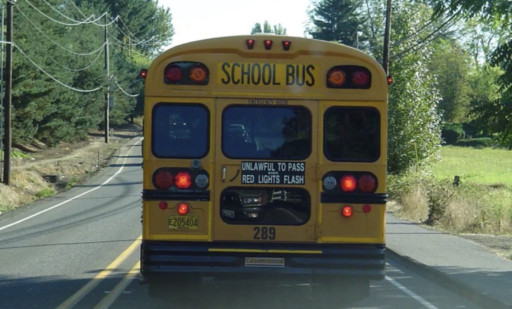 I Noticed a Child in the School Bus Banging on the Rear Window and ...