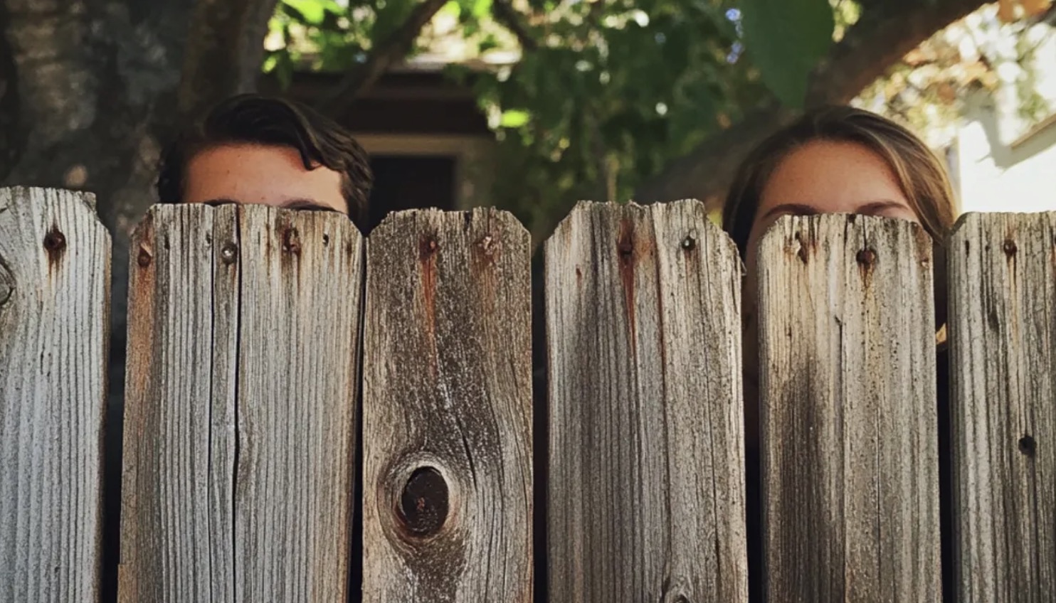 Three Stories About Strange Neighbors with Unexpected Endings | LOLitopia